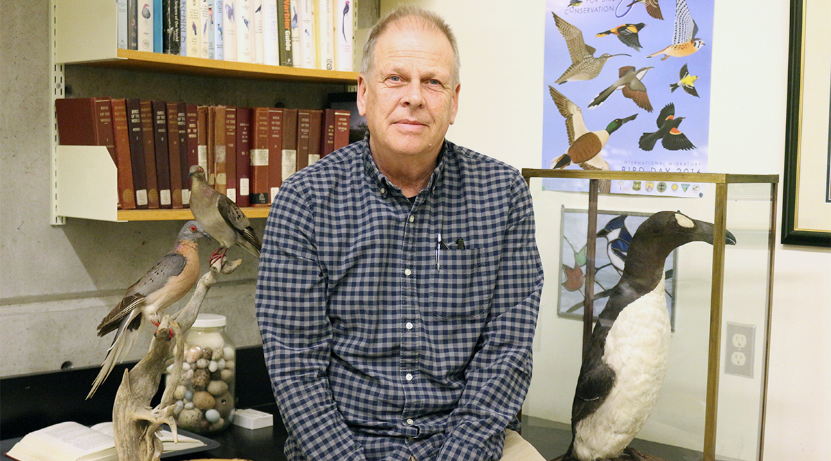 ROM has the last remaining mounts of extinct birds – The online ...